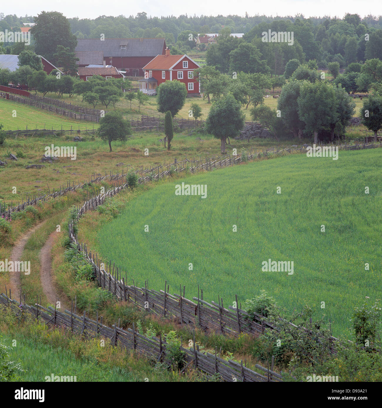 Houses and fields in the countryside Stock Photo - Alamy