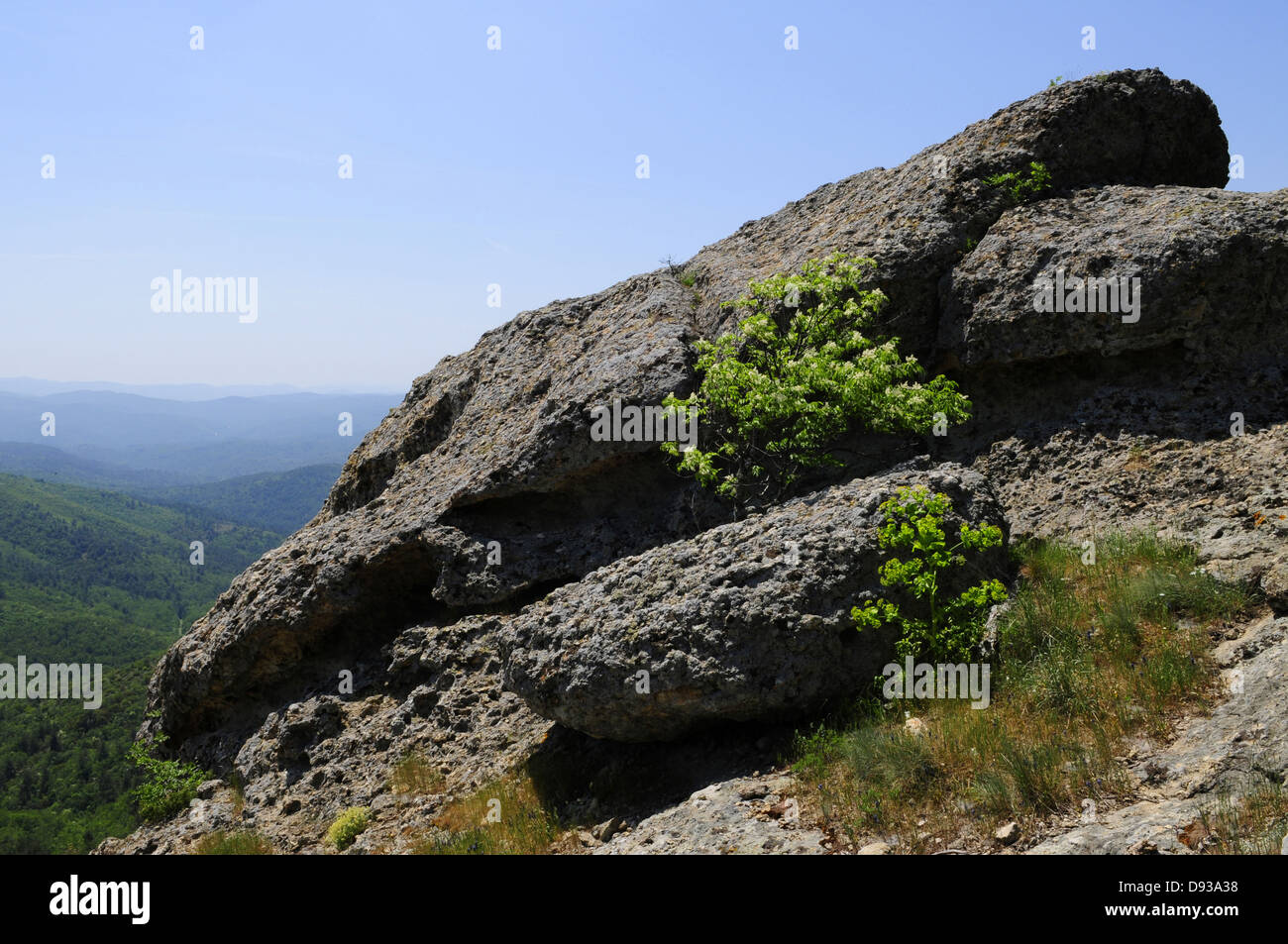 Dadia forest greece hi-res stock photography and images - Alamy