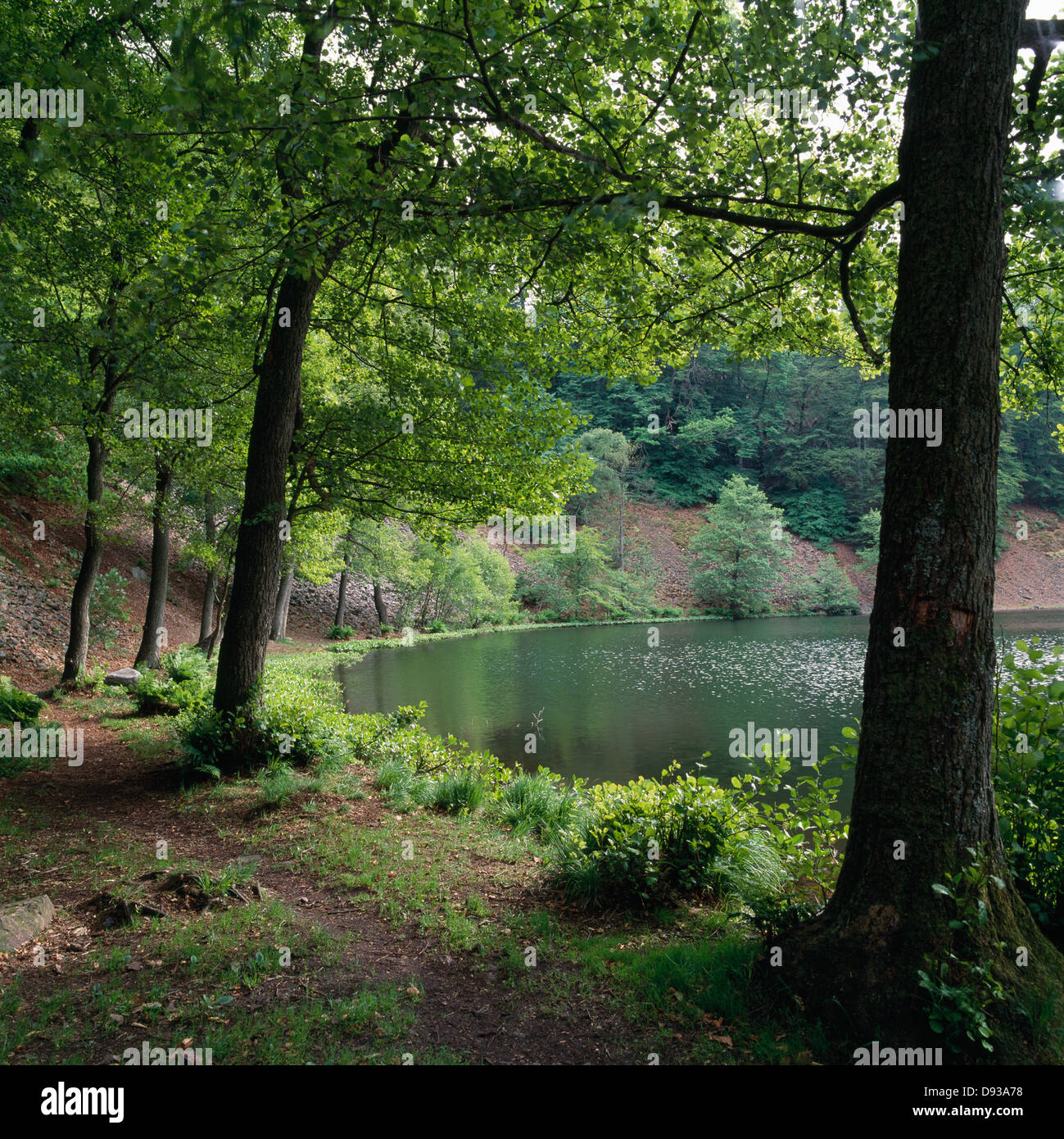 A lake in a nature reserve Stock Photo - Alamy