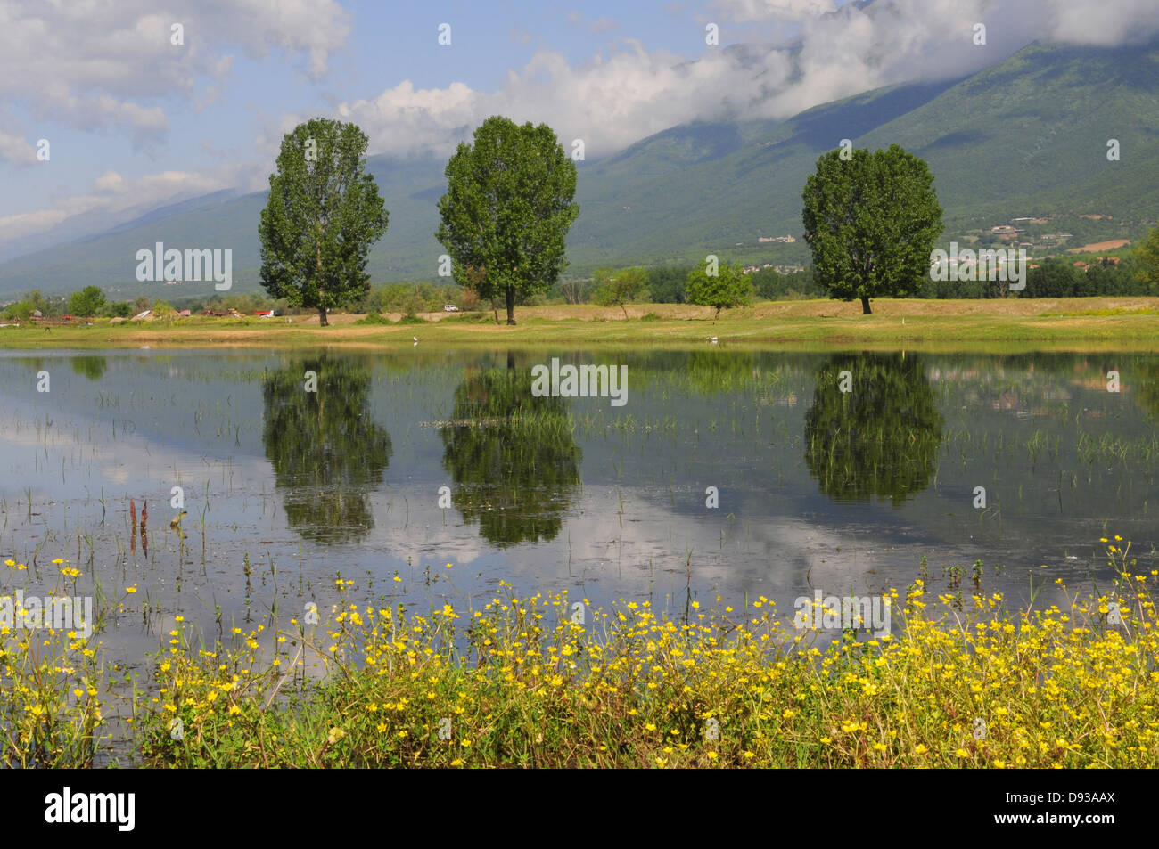 Trees reflecting in Lake Kerkini, Macedonia, Greece Stock Photo - Alamy
