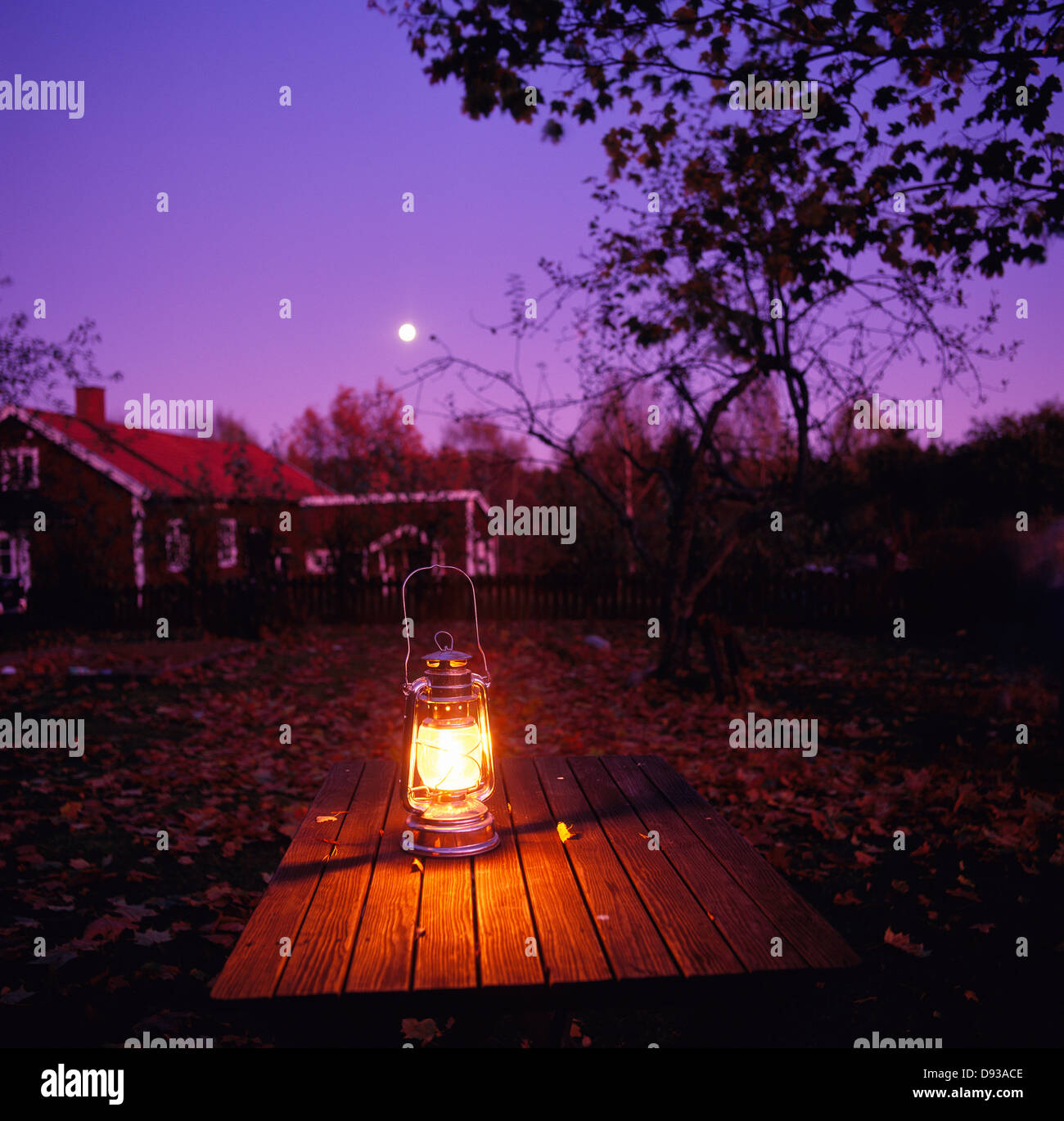 A lit lantern in a garden Stock Photo - Alamy