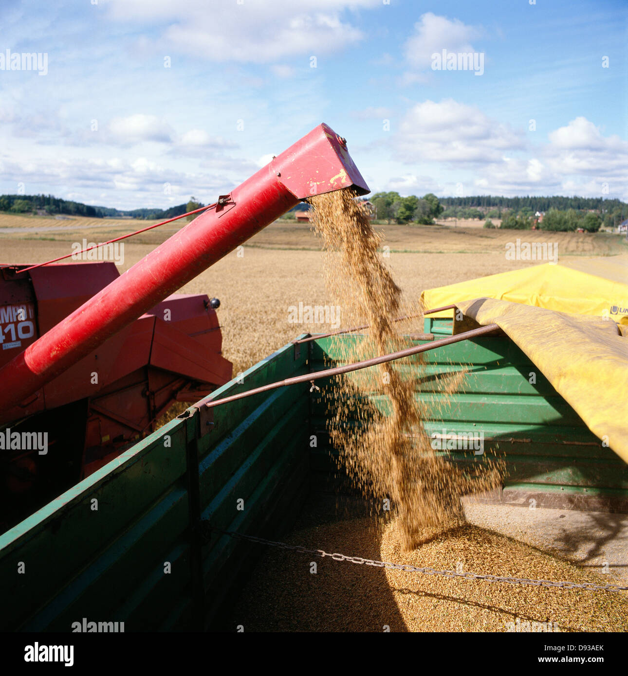 Combine harvester emptying grain hi-res stock photography and images ...