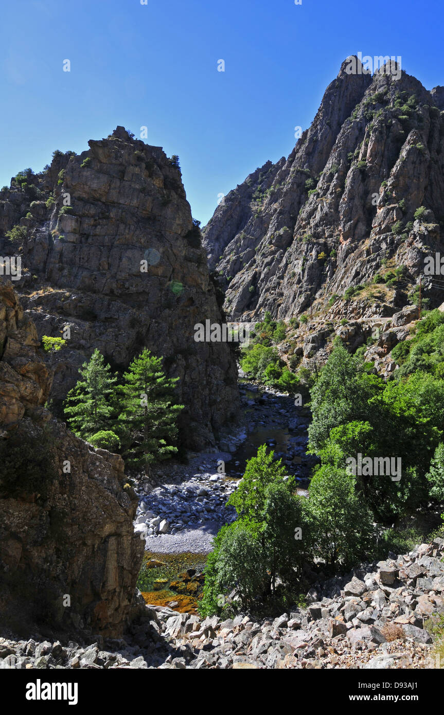 Asco gorge, Niolu region, Haute-Corse, Corsica, France Stock Photo - Alamy