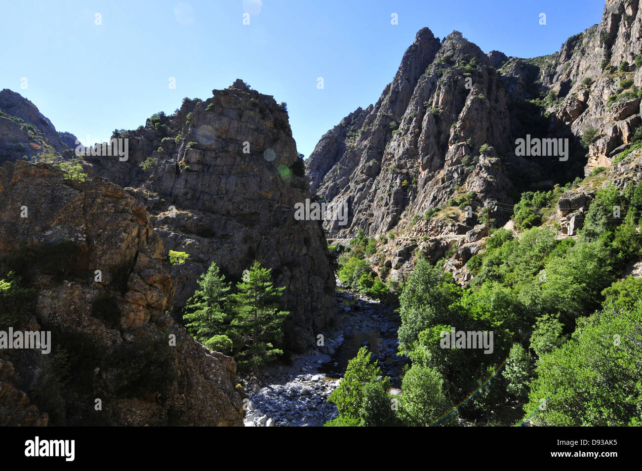 Asco gorge, Niolu region, Haute-Corse, Corsica, France Stock Photo - Alamy