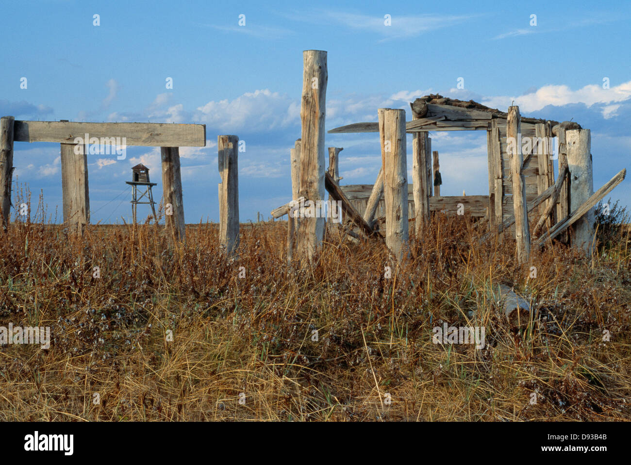 Chukotka Nature High Resolution Stock Photography and Images - Alamy