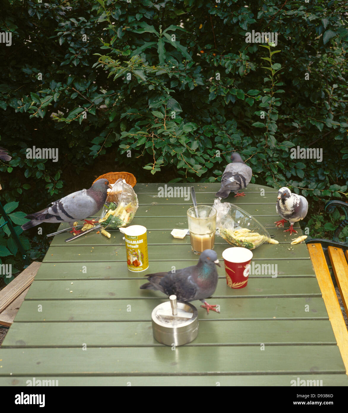 Pigeons spilling food on table, elevated view Stock Photo - Alamy