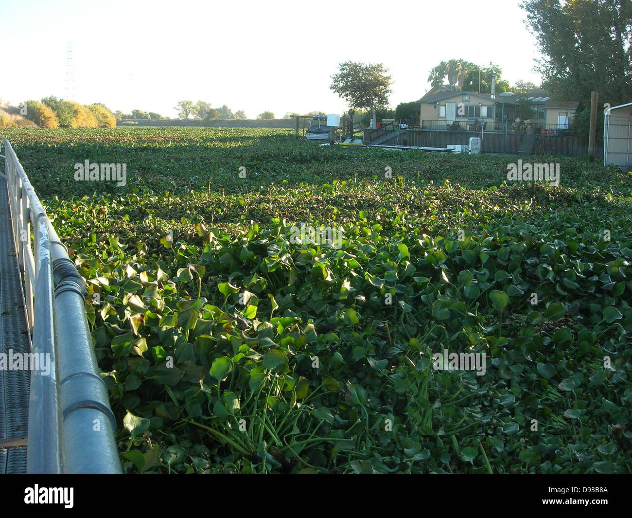 Delta dams hi-res stock photography and images - Alamy