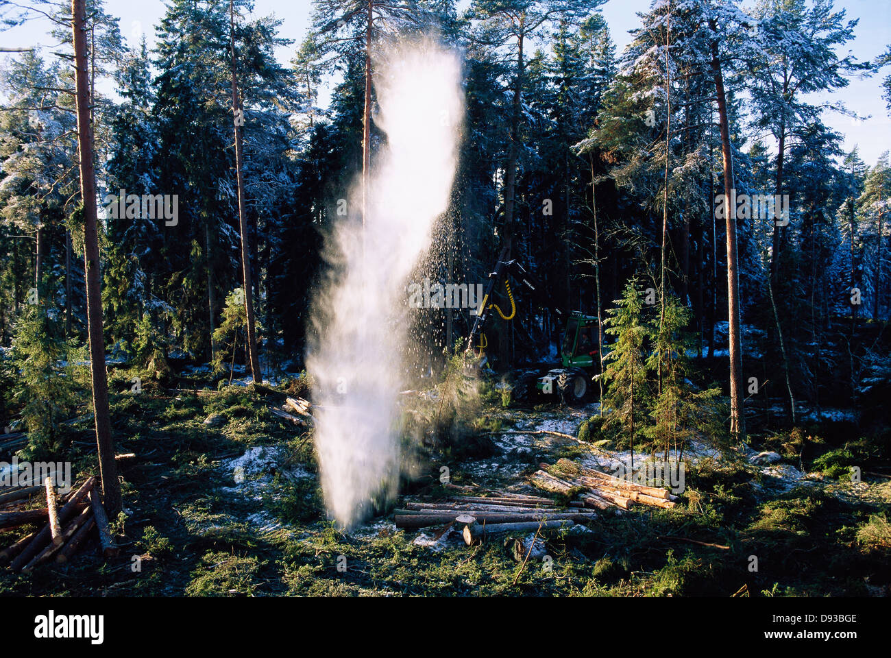 Burning forest hi-res stock photography and images - Alamy