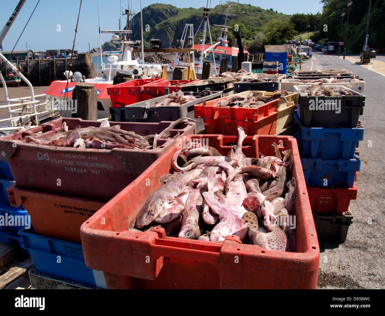 Fishing trawlers in dock in hi-res stock photography and images - Alamy