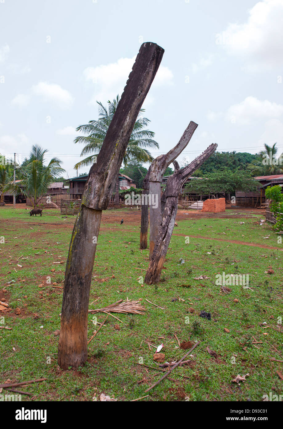 Alak Minority Sacrifice Crocodile Pillar, Boloven, Laos Stock Photo - Alamy