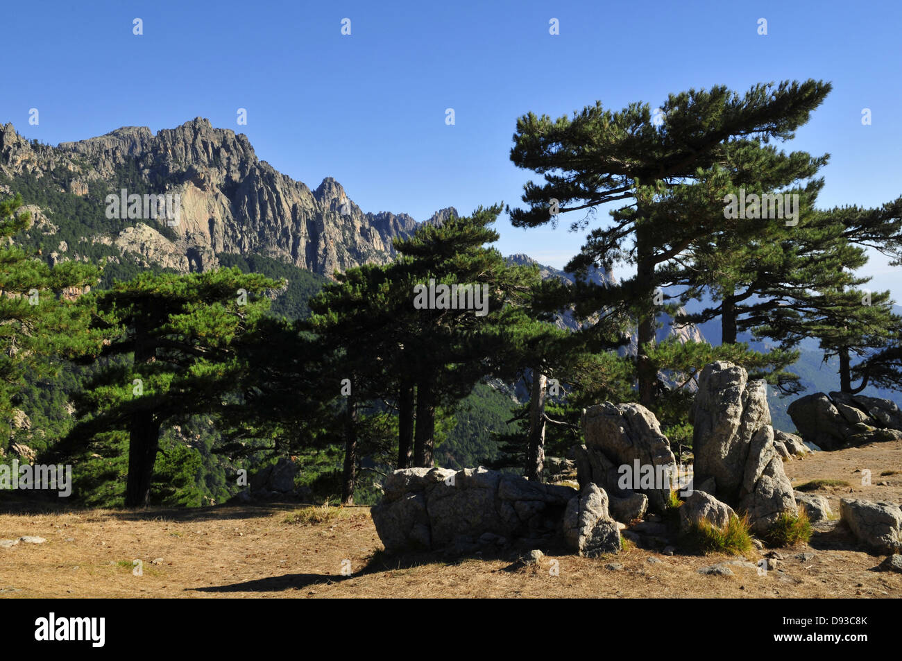 Col de Bavella, Alta Rocca Region, Corse-du-Sud, Corsica, France Stock ...