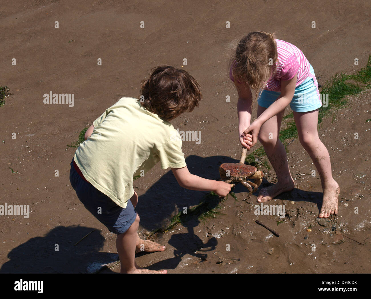 Children Playing Dead High Resolution Stock Photography and Images - Alamy