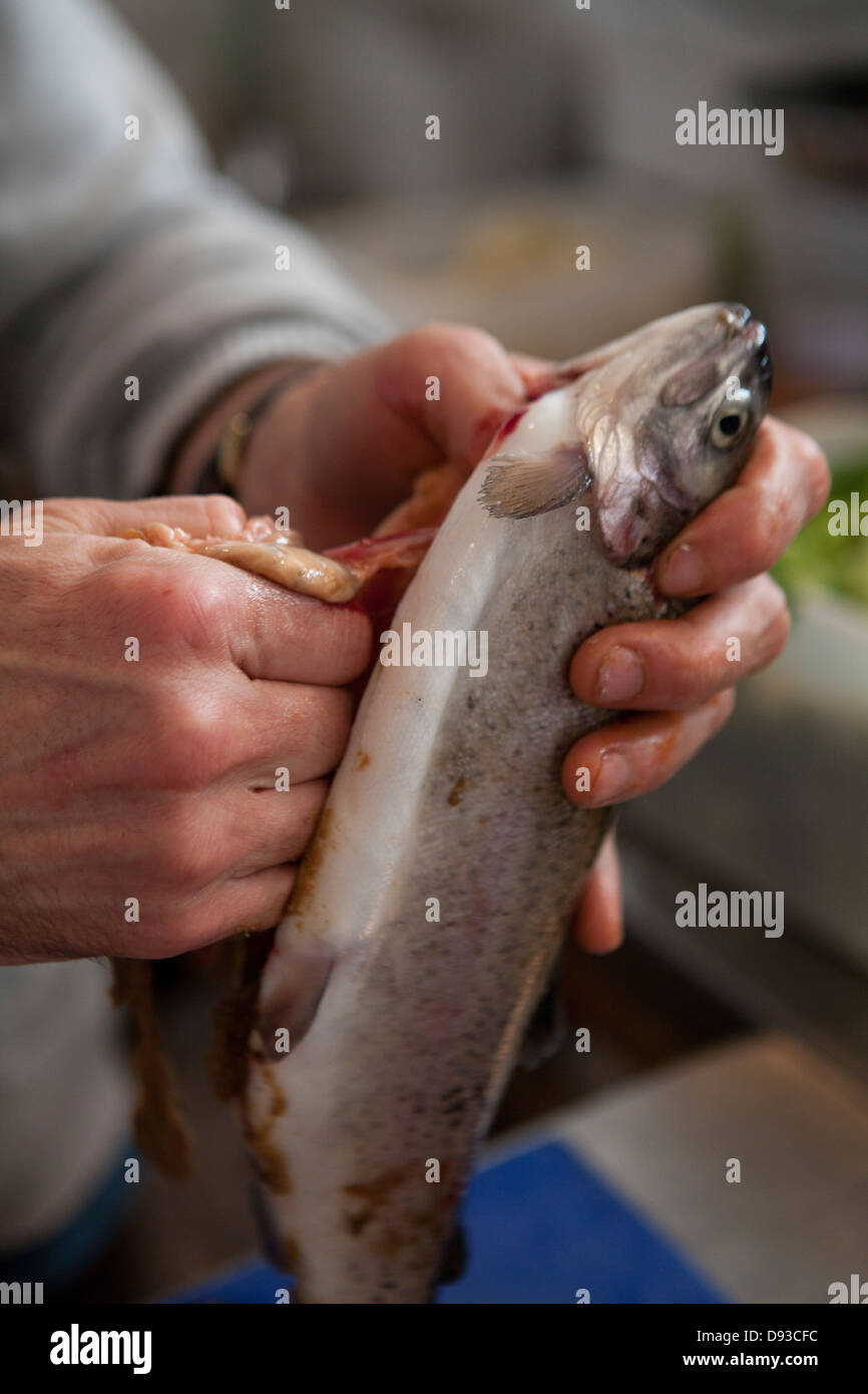 English trout fishing hi-res stock photography and images - Alamy