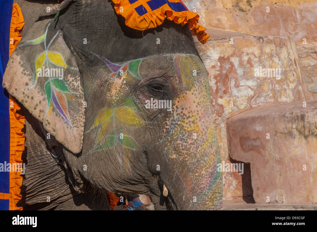 Colourful elephant in Jaipur, Rajasthan, India Stock Photo - Alamy