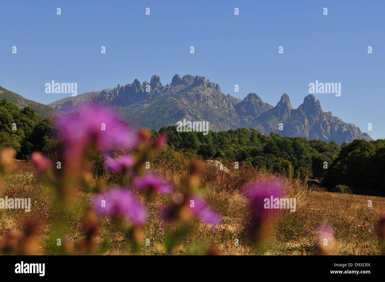Aiguilles de Bavella, View from Quenza, Col de Bavella, Alta Rocca ...