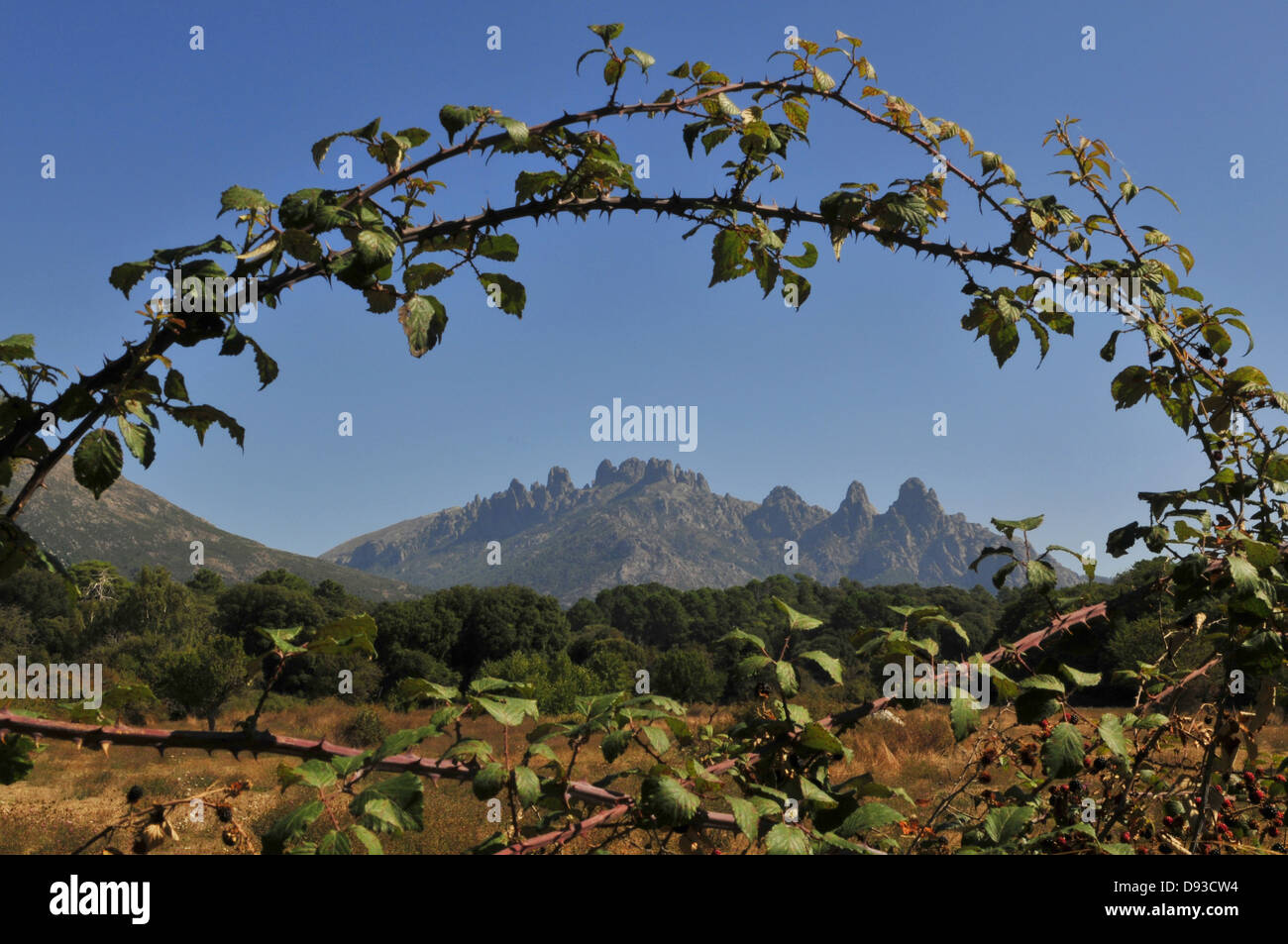 Aiguilles de Bavella, View from Quenza, Col de Bavella, Alta Rocca ...