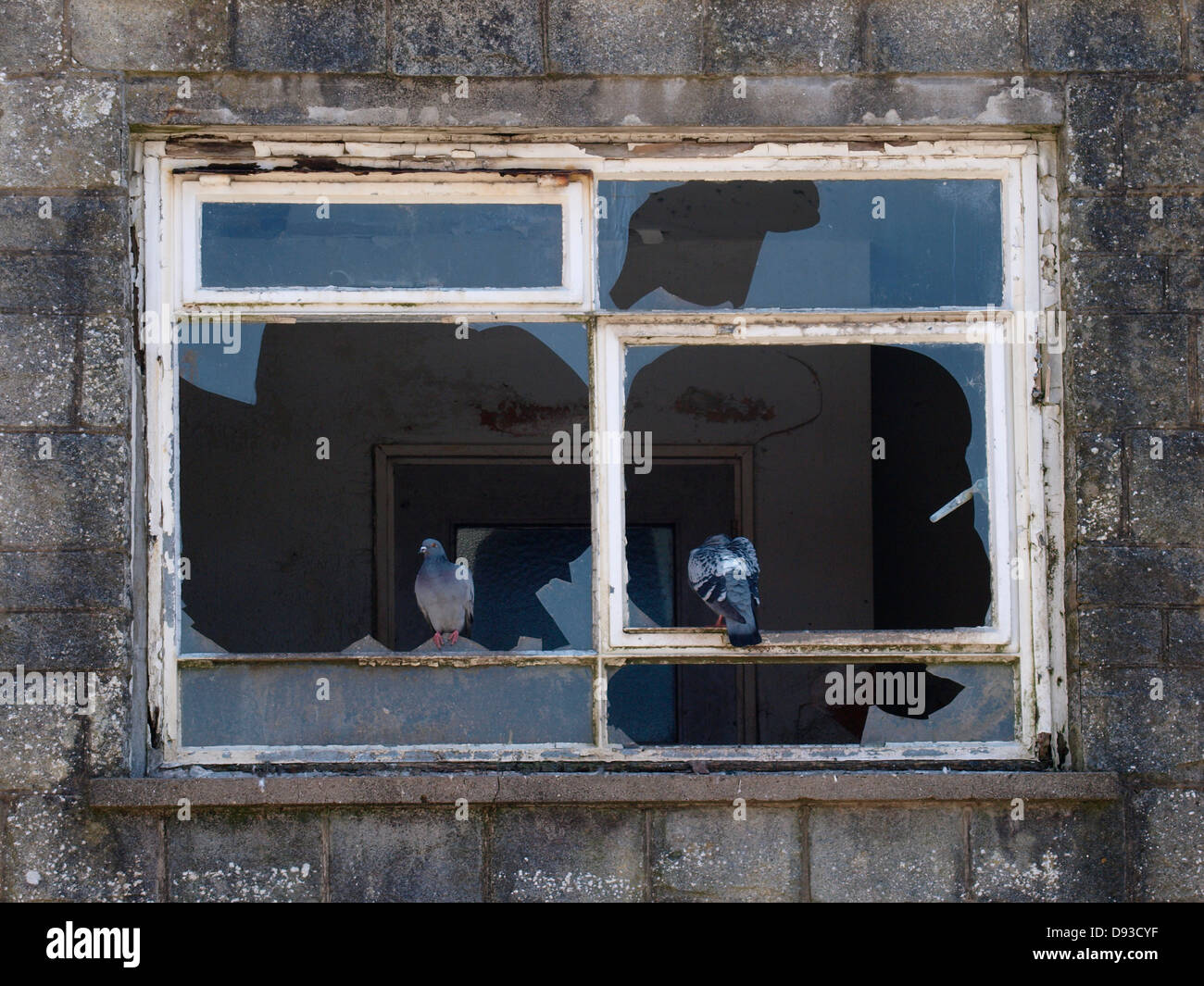 Broken windows, UK 2013 Stock Photo - Alamy