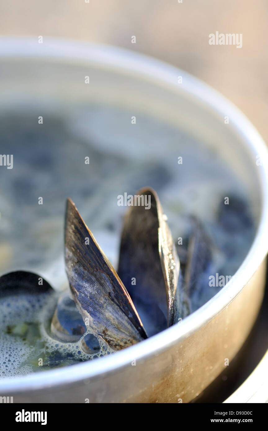 Boiling clams, Bohuslan, Sweden Stock Photo - Alamy