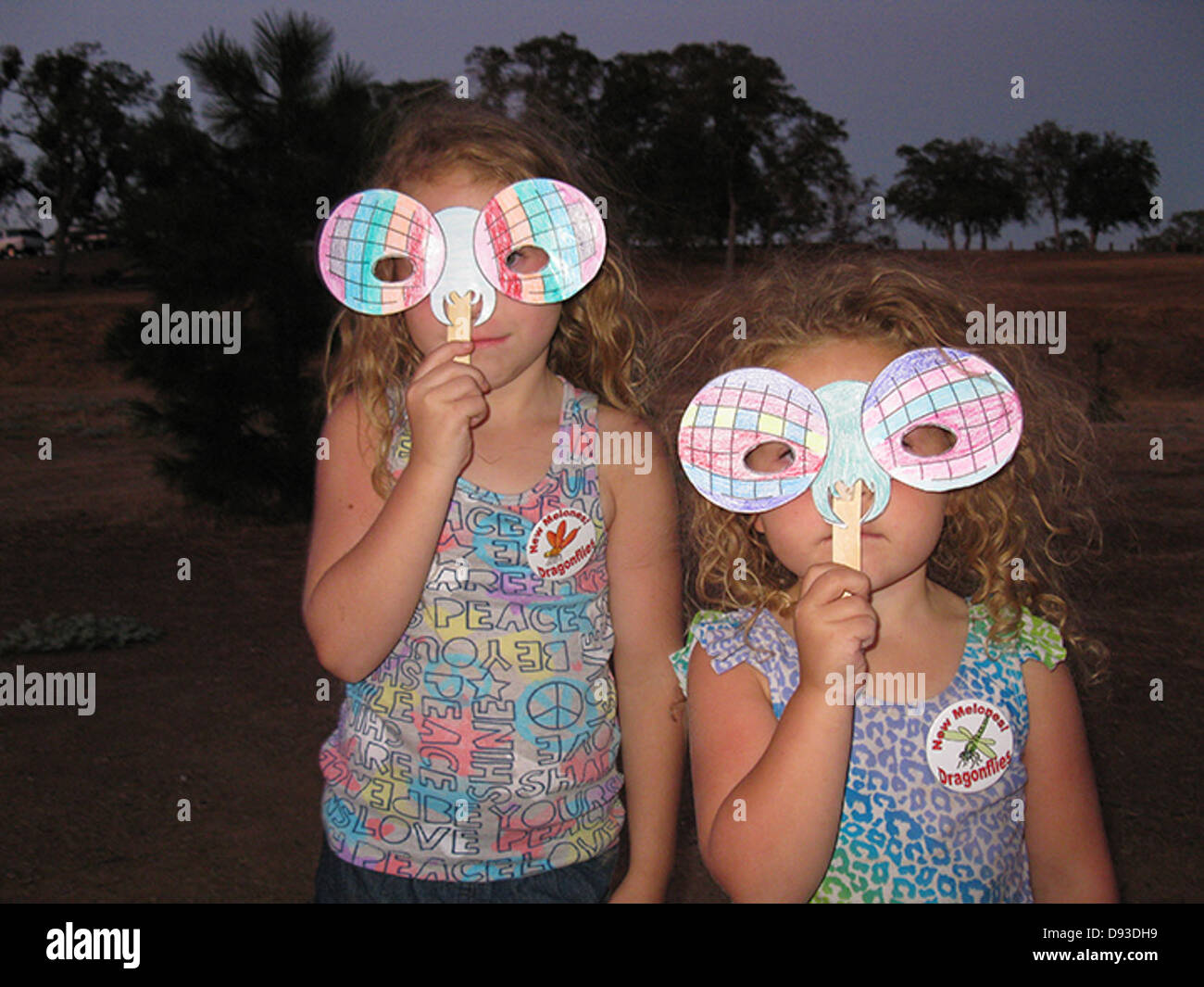 A vibrant photograph of dragonflies at New Melones Lake, captured by ...