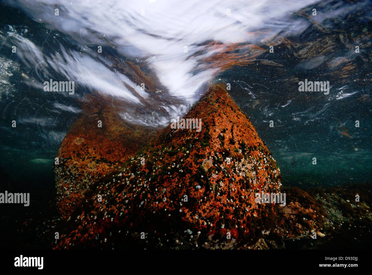 Stones under water Stock Photo - Alamy