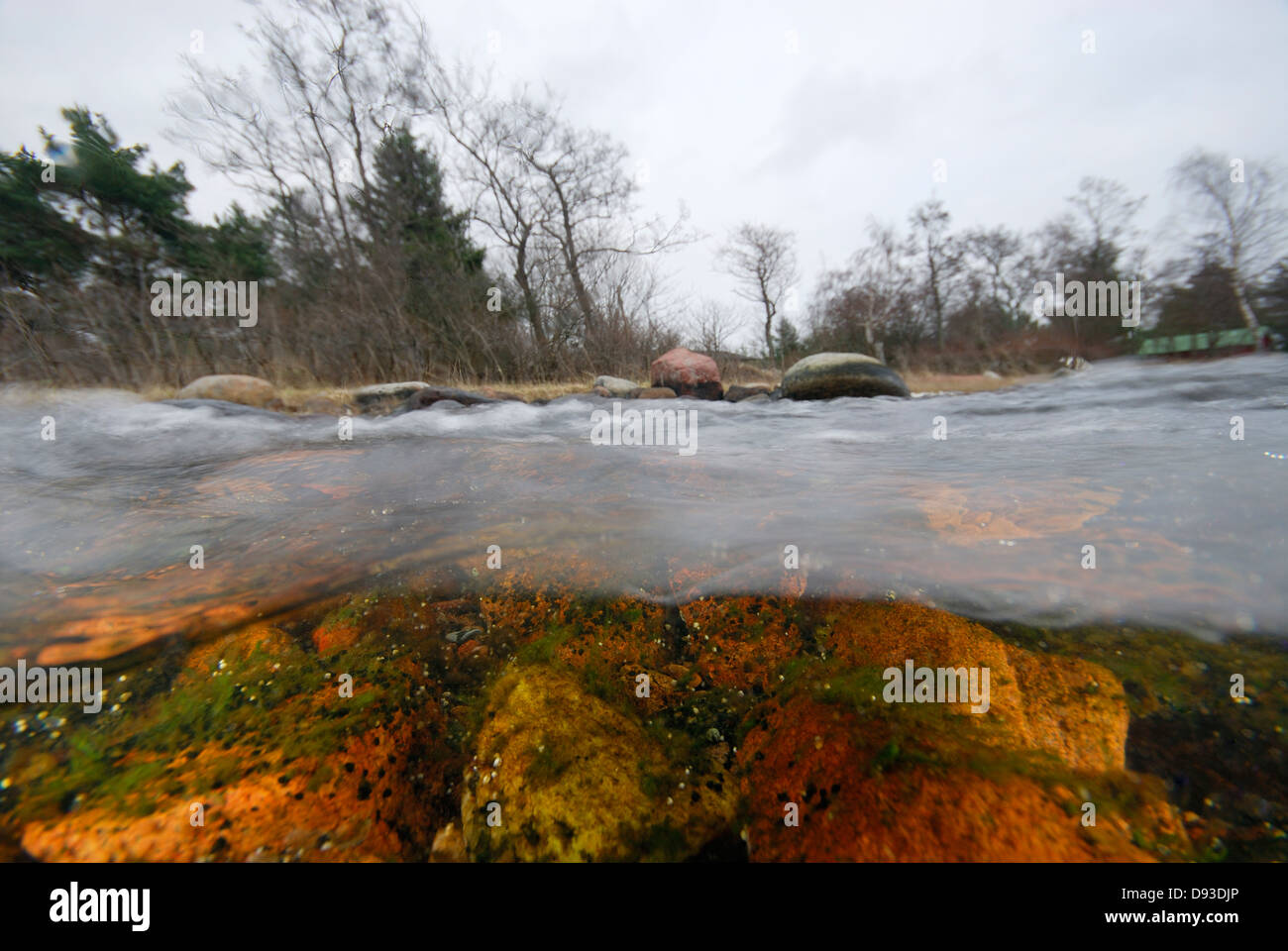 Stones under water Stock Photo - Alamy