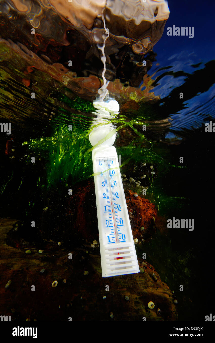 Water thermometer hi-res stock photography and images - Alamy