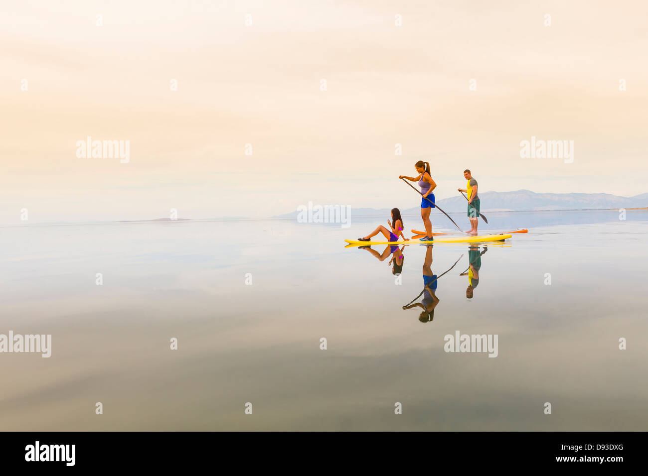 Family riding paddle boards Stock Photo - Alamy