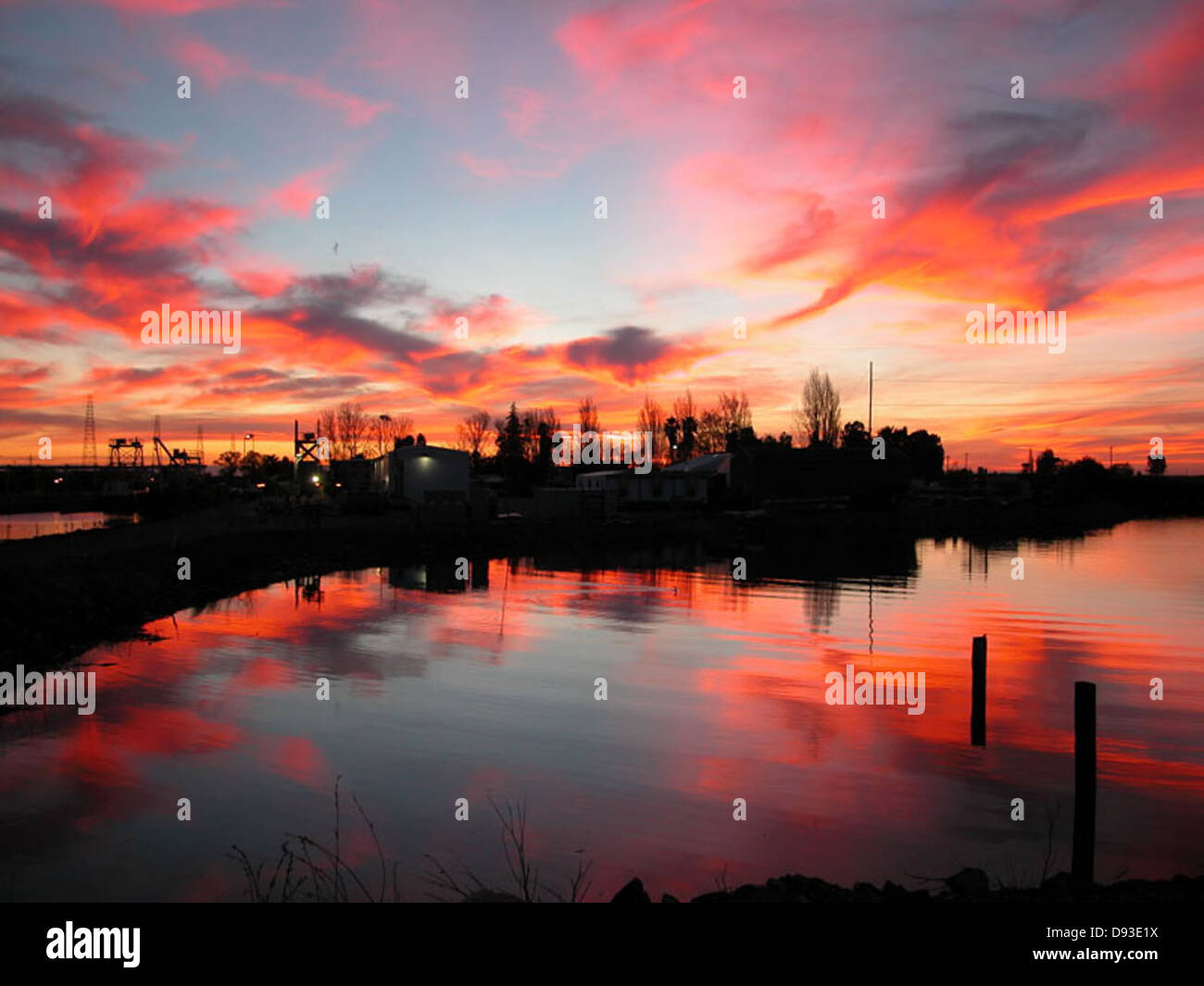 The Tracy Fish Facility, located in California’s Mid-Pacific region ...