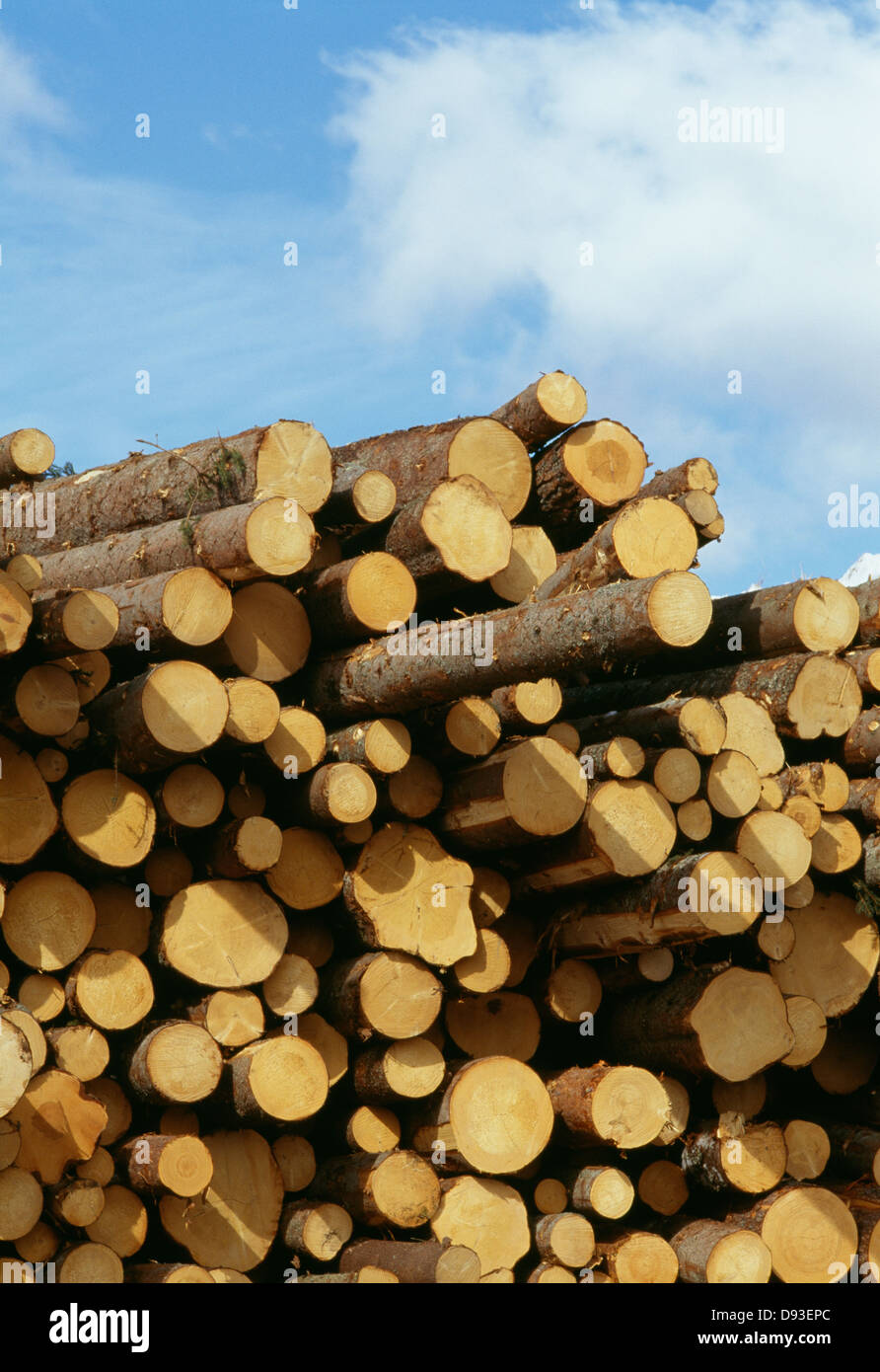 Logs view hi-res stock photography and images - Alamy