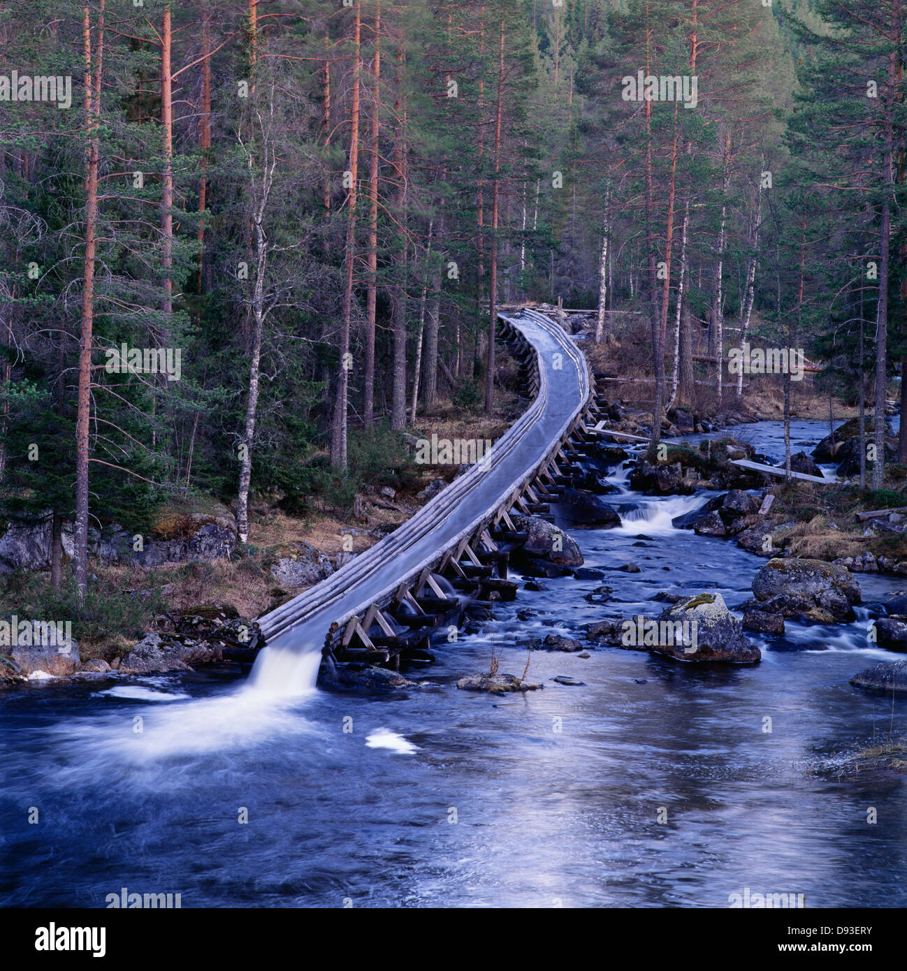 Tall trees by river Stock Photo - Alamy