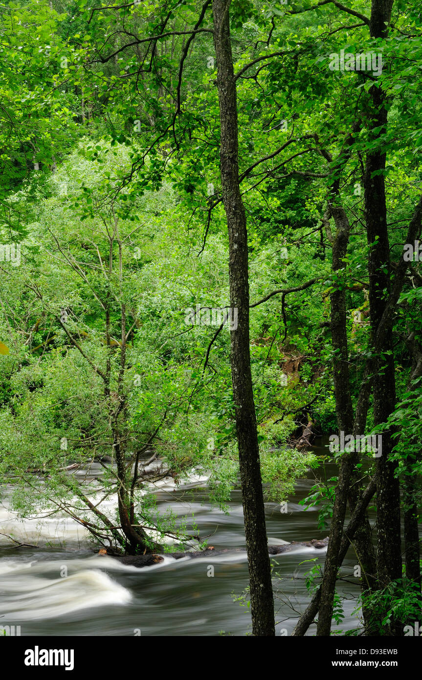 Trres hi-res stock photography and images - Alamy