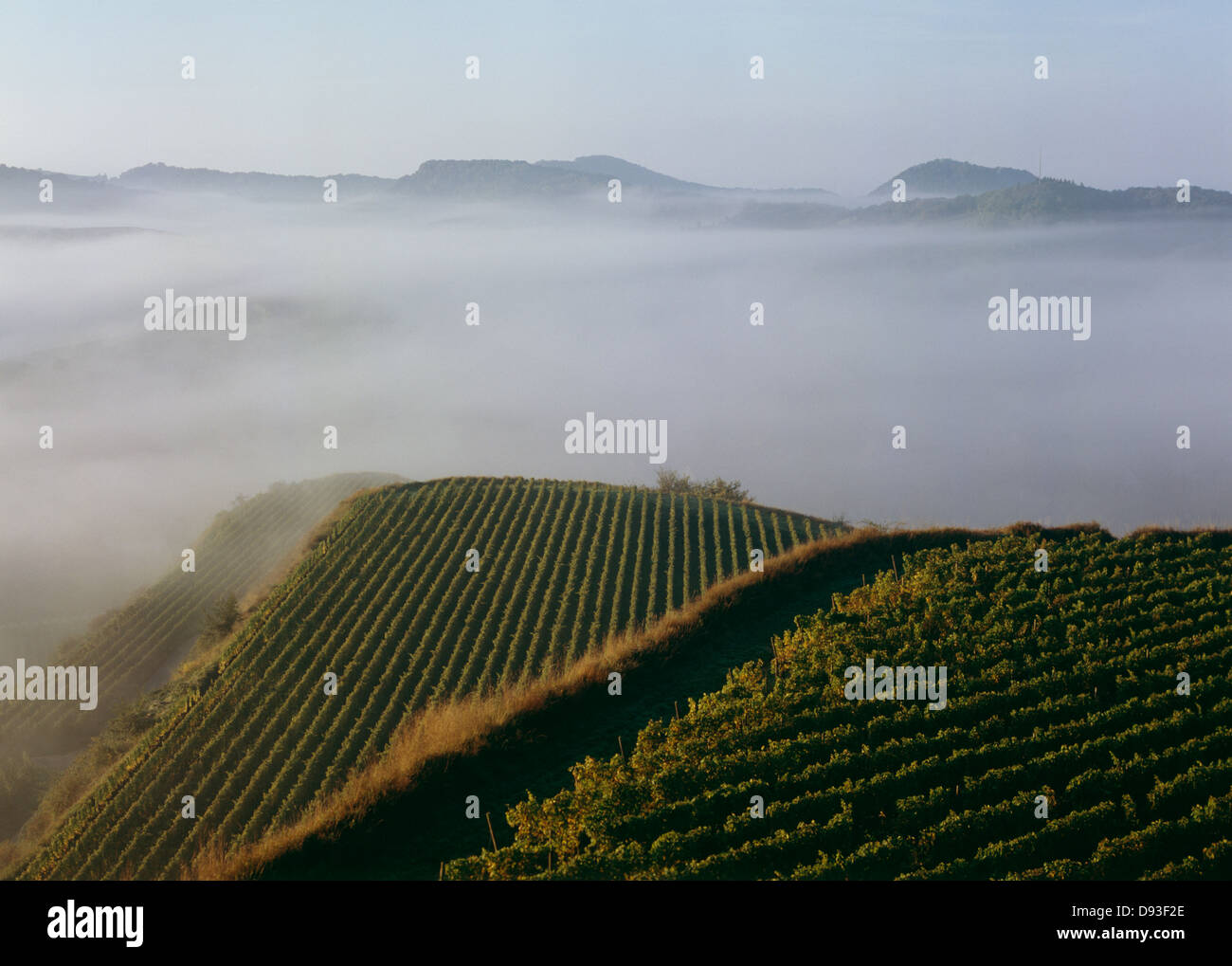 Landscape low hill fields hi-res stock photography and images - Alamy