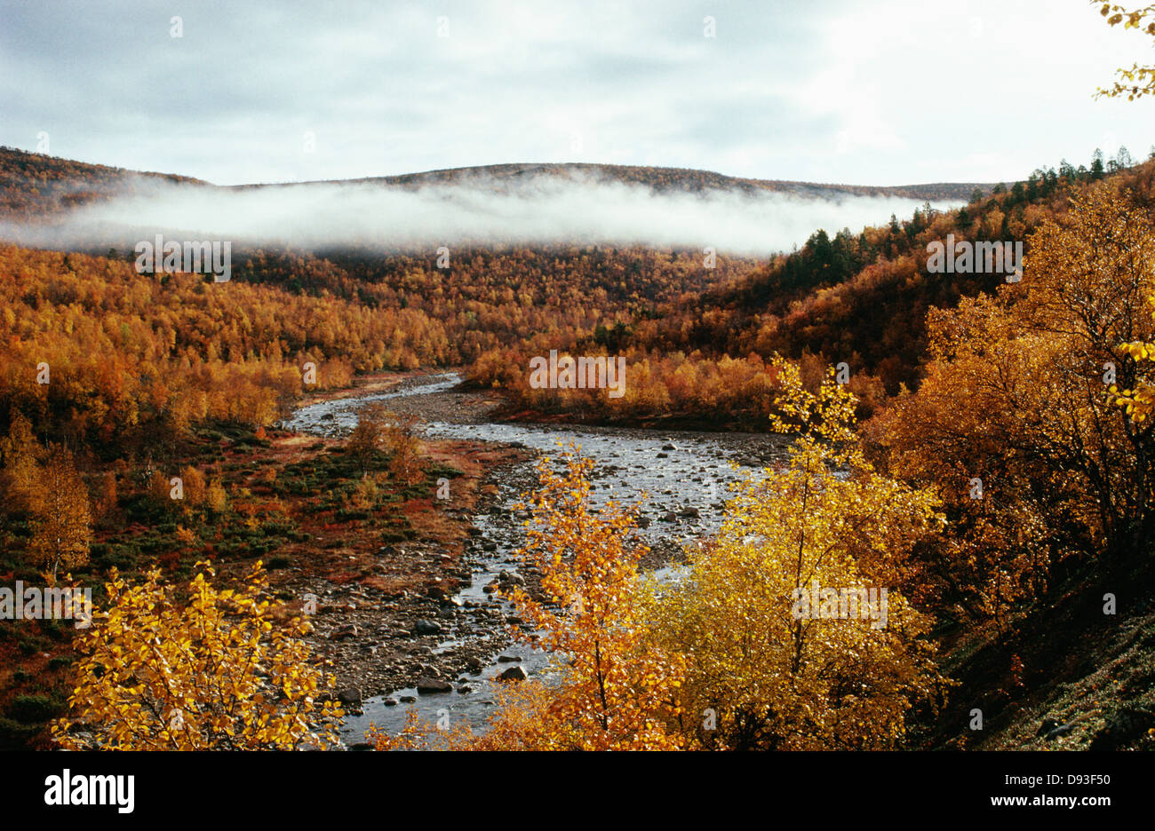 Cloud fog covered scenic hi-res stock photography and images - Alamy