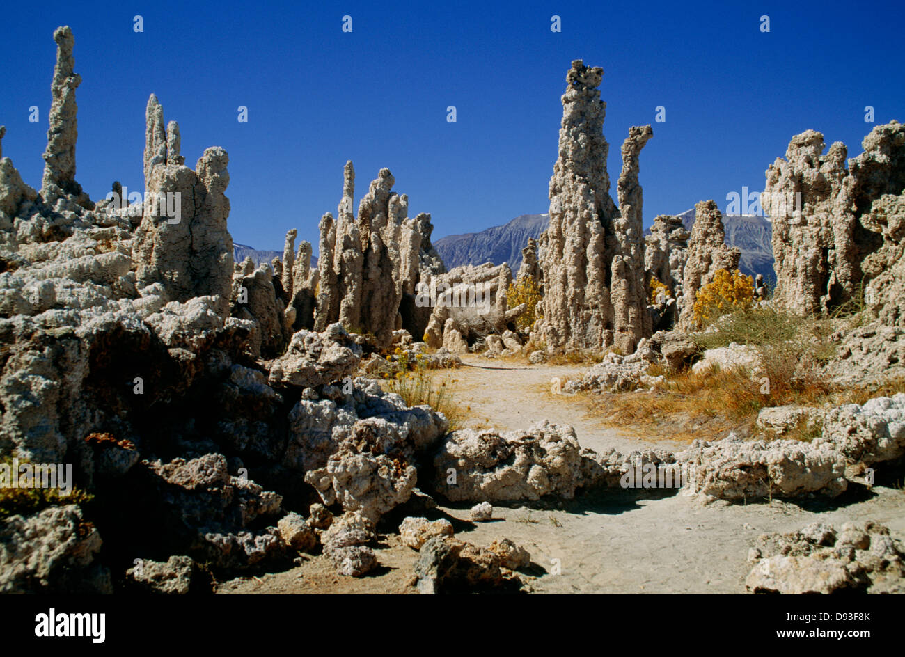 Limestone pillars in desert Stock Photo - Alamy