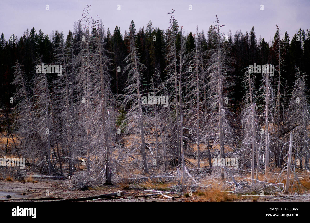 Destroyed by fire hi-res stock photography and images - Alamy