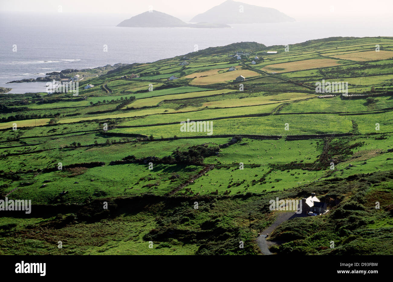 Patchwork fields hi-res stock photography and images - Alamy