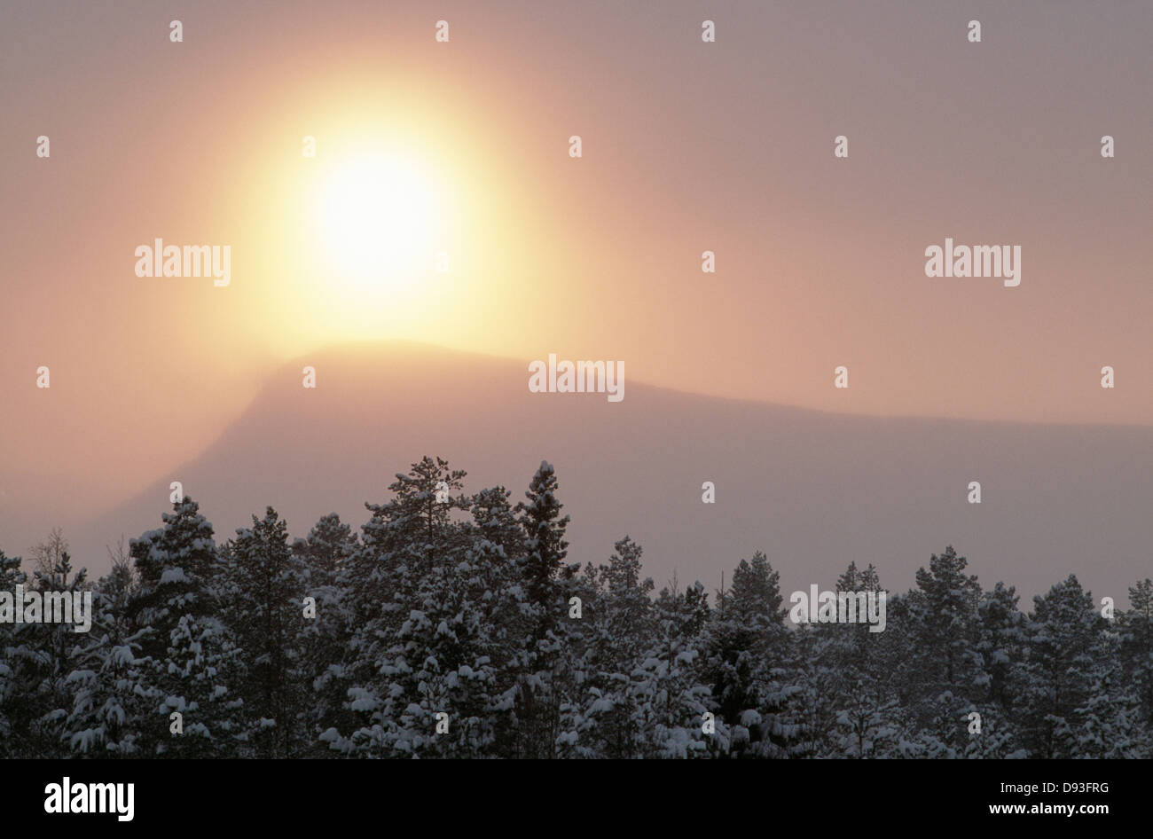 Sunset trees snow hi-res stock photography and images - Alamy