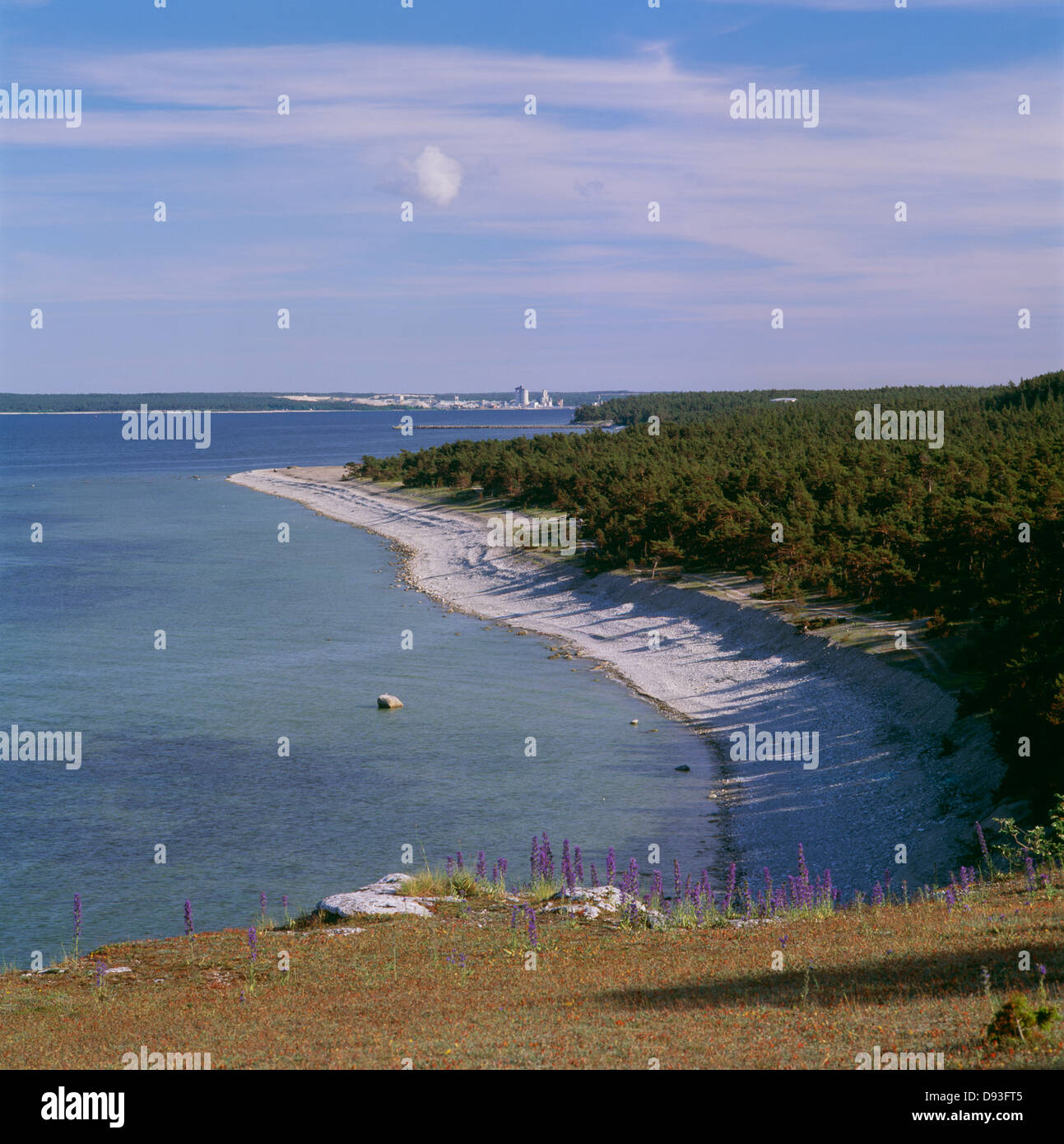 Coastline foliage hi-res stock photography and images - Alamy