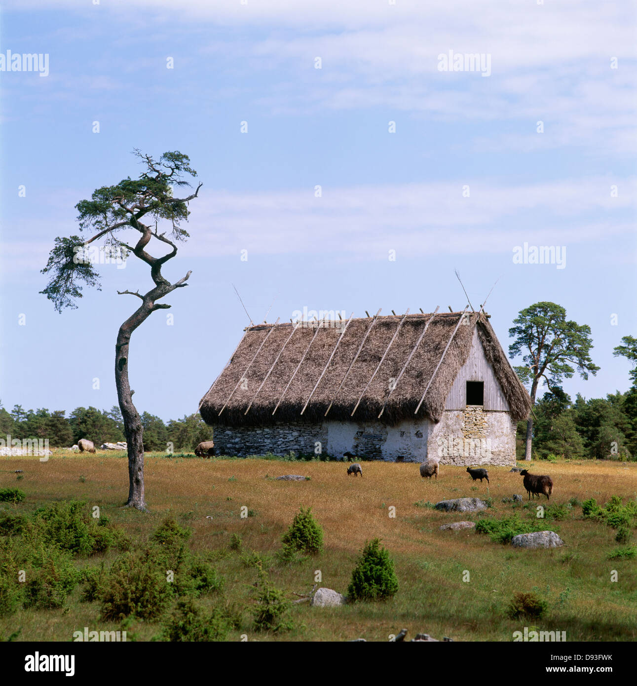 Thatched roof animals hi-res stock photography and images - Alamy