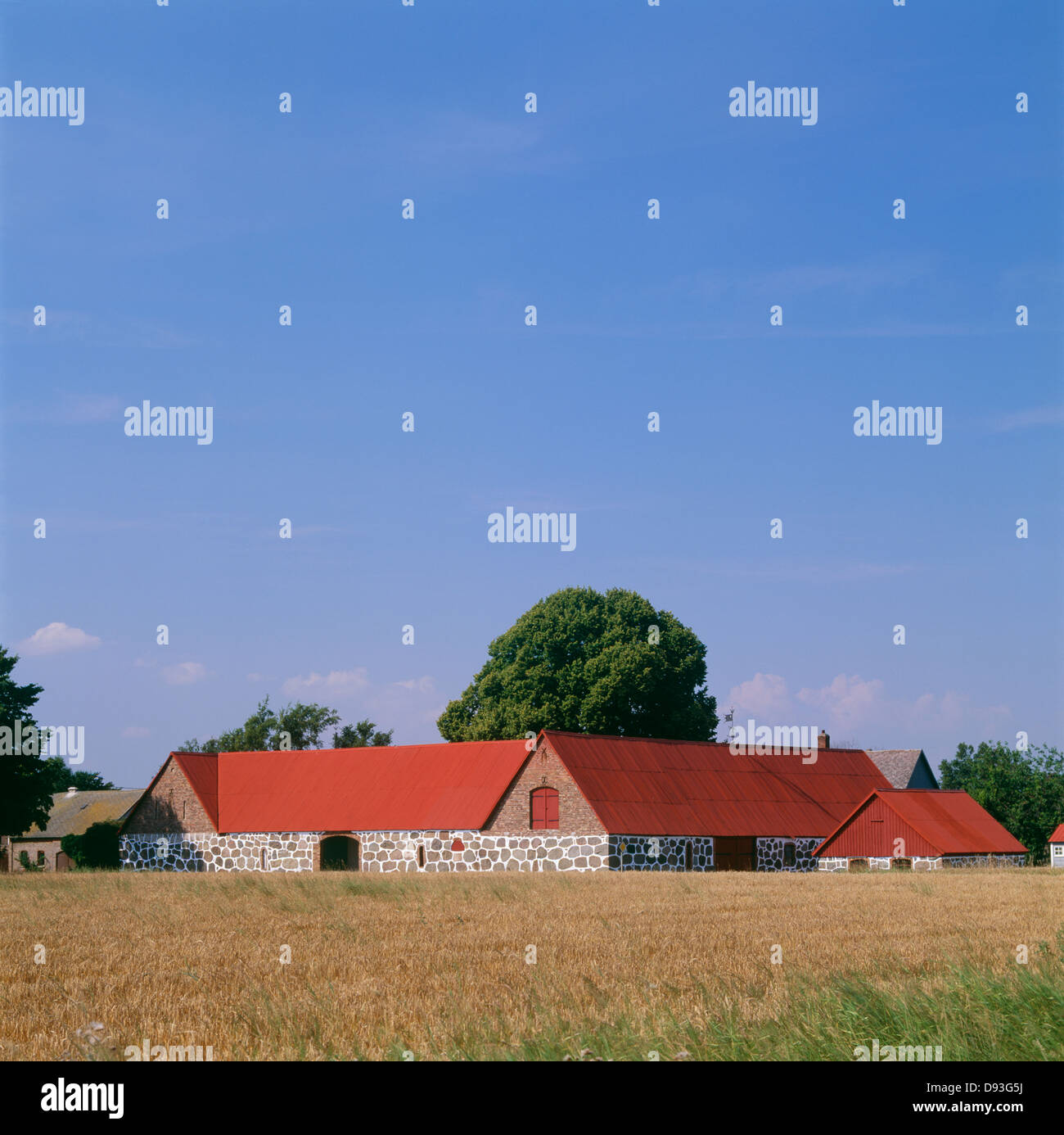 View of barn in field Stock Photo - Alamy