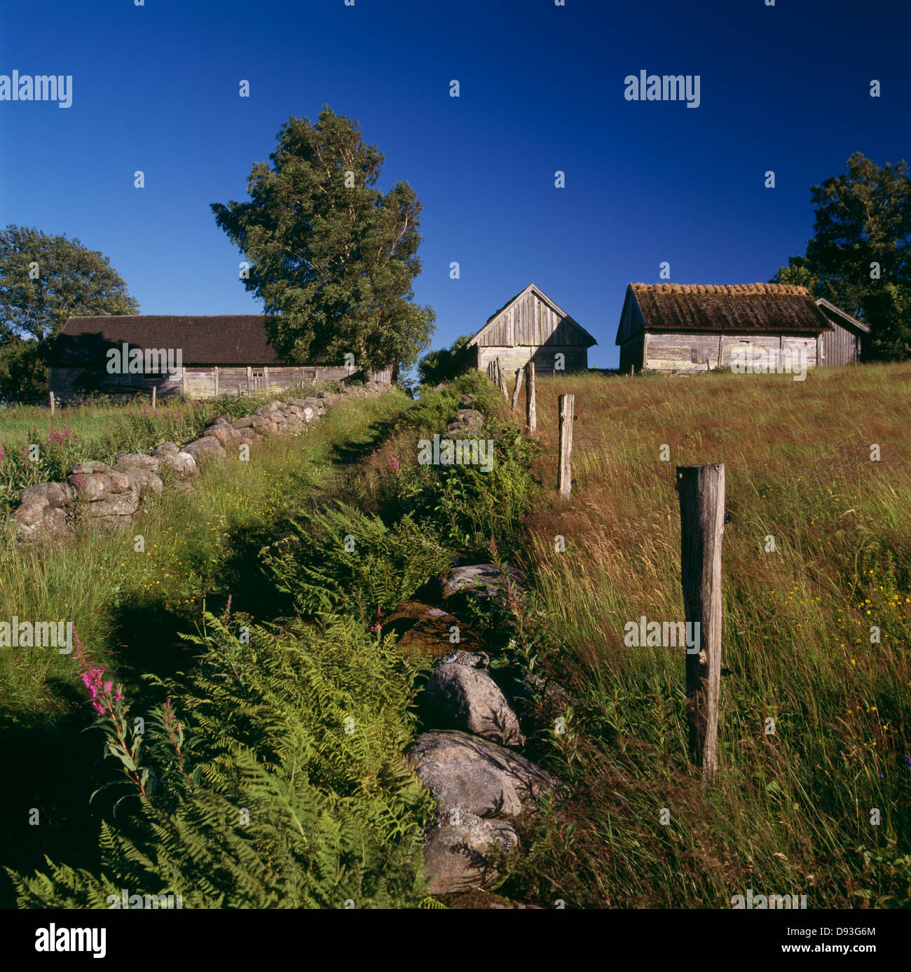 Houses in field Stock Photo - Alamy