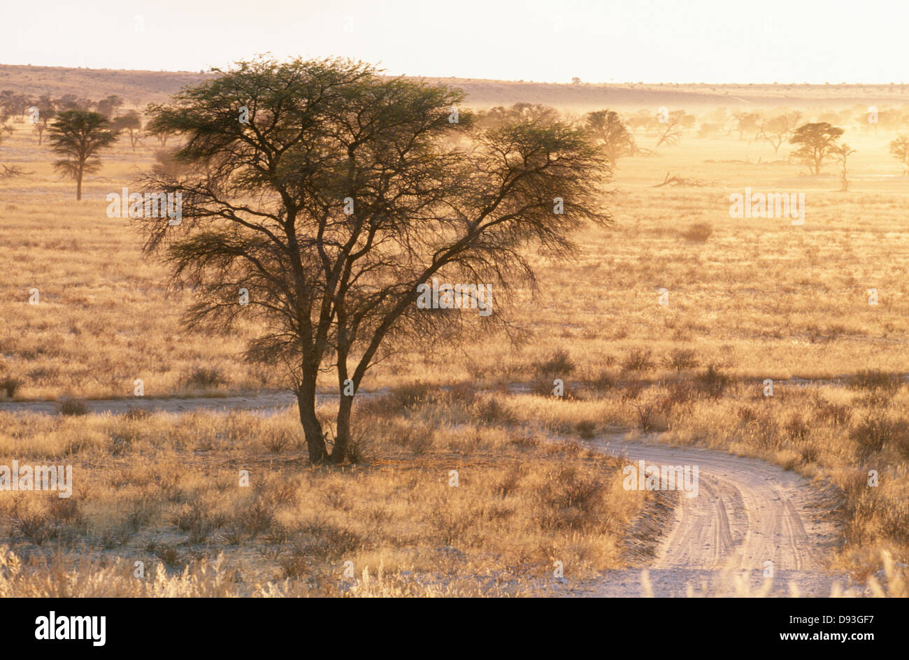 Dirt track passing through landscape Stock Photo - Alamy