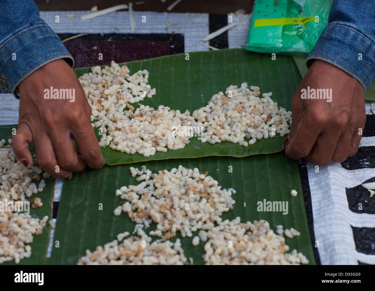 Laos insect hi-res stock photography and images - Alamy