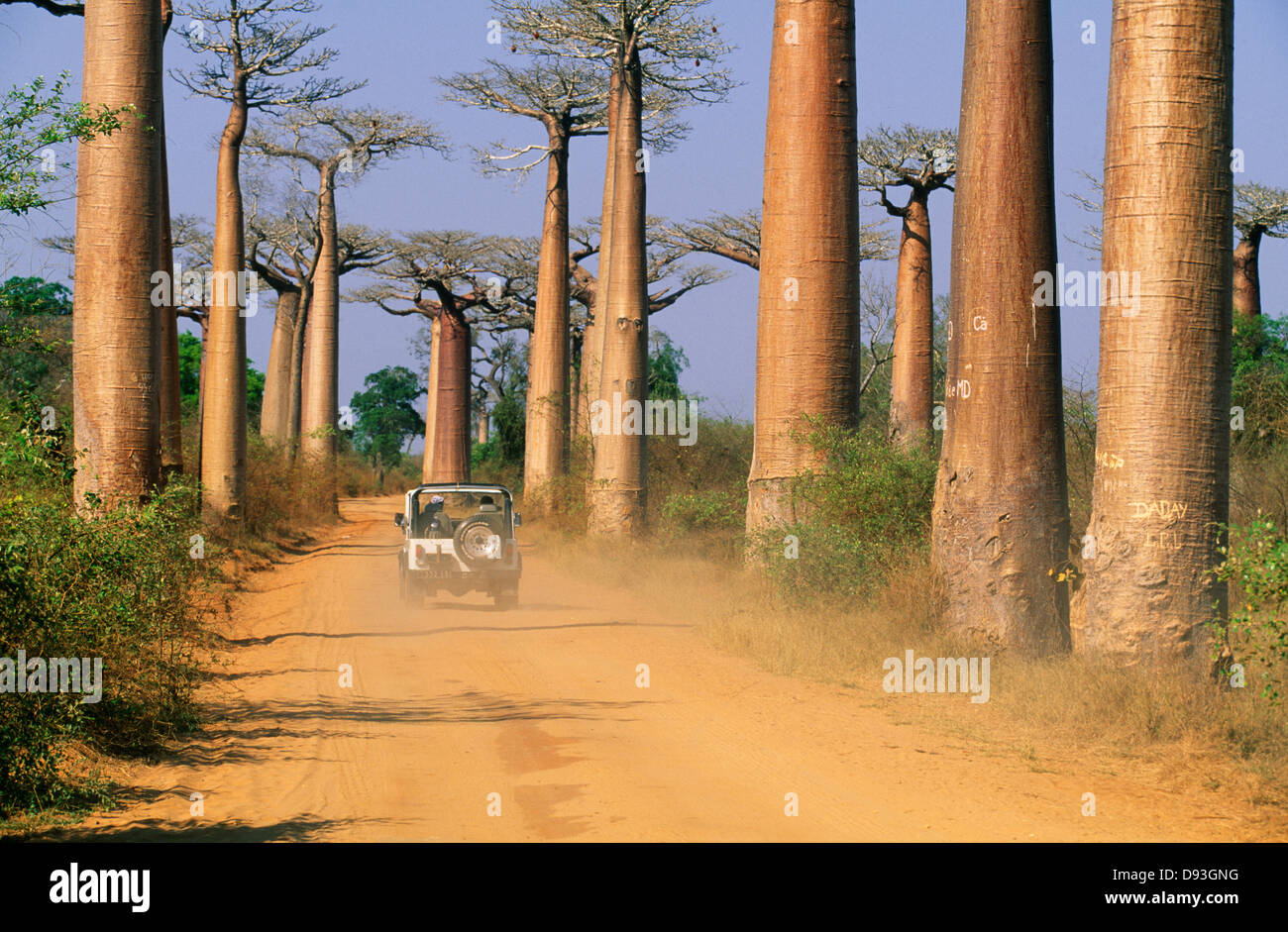 Taxi moving on country road Stock Photo - Alamy