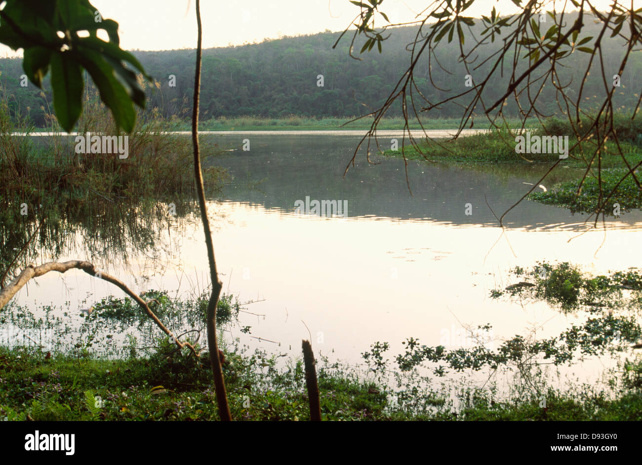 View of lake Stock Photo - Alamy
