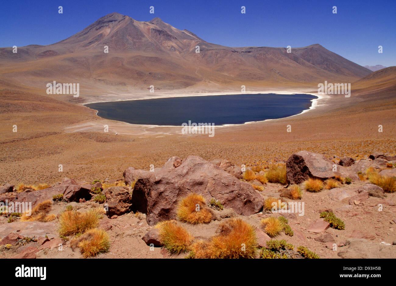 Lagoon in the desert hi-res stock photography and images - Alamy