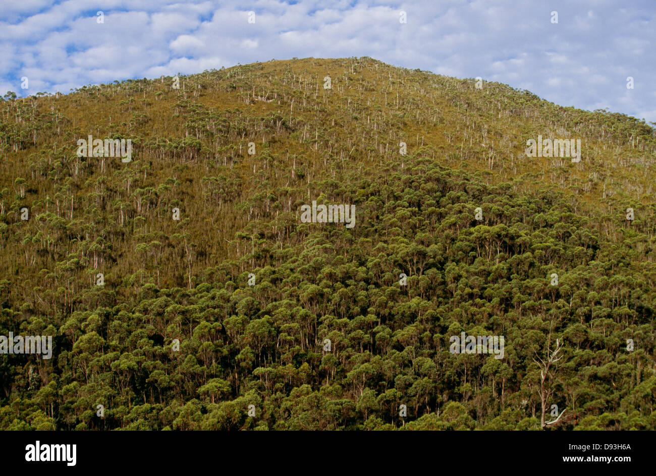 Lush hill hi-res stock photography and images - Alamy
