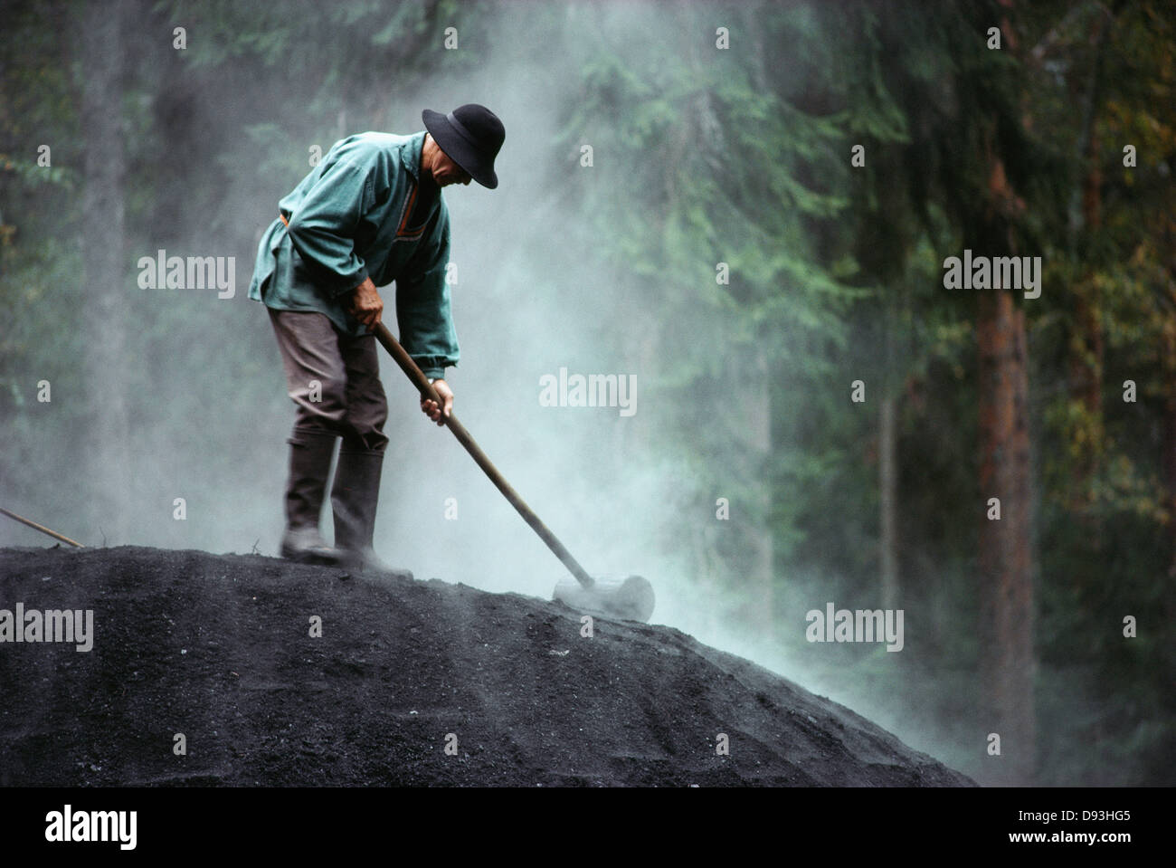 Man working in forest, side view Stock Photo - Alamy
