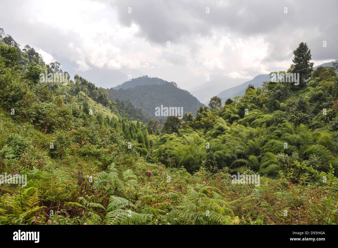 Sikkim mountain hi-res stock photography and images - Alamy