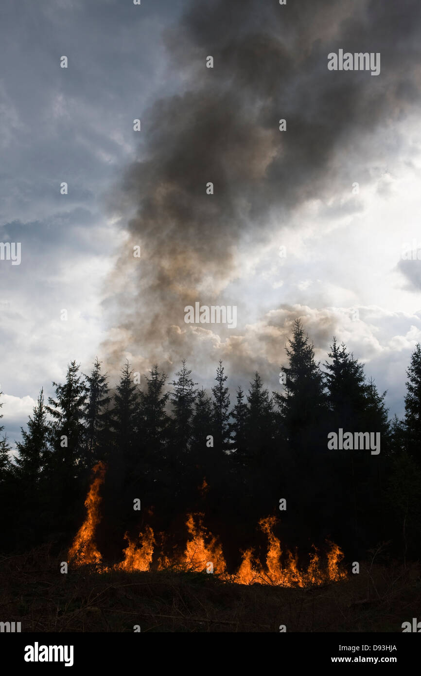 Fire beating hi-res stock photography and images - Alamy